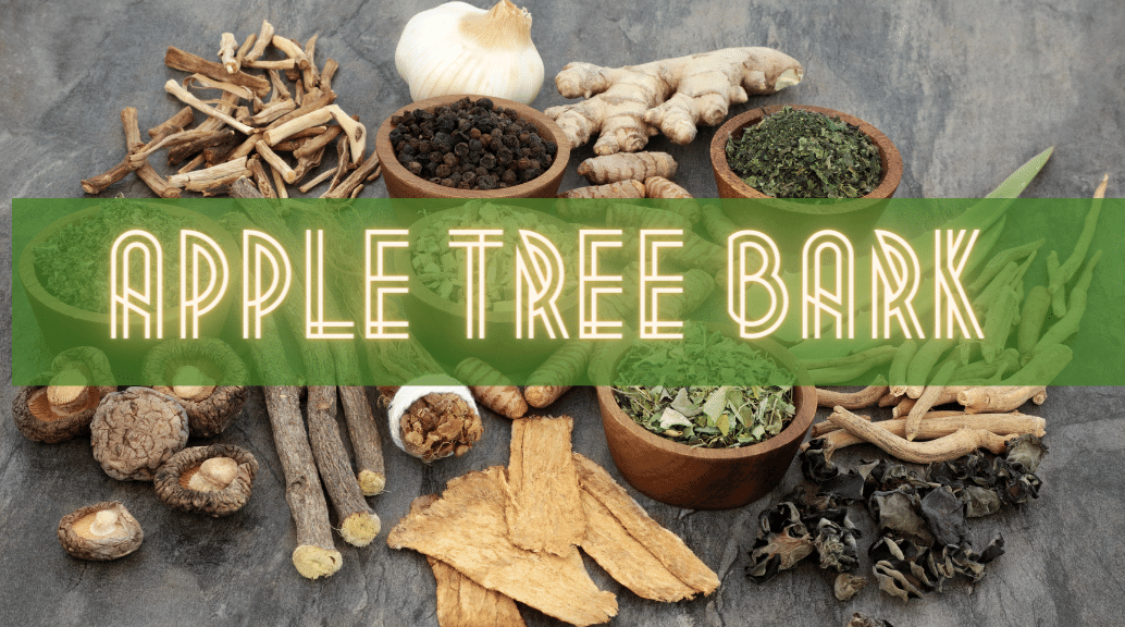 Unlocking the Healing Power of Apple Tree Bark: Uses, Benefits, and Wa ...
